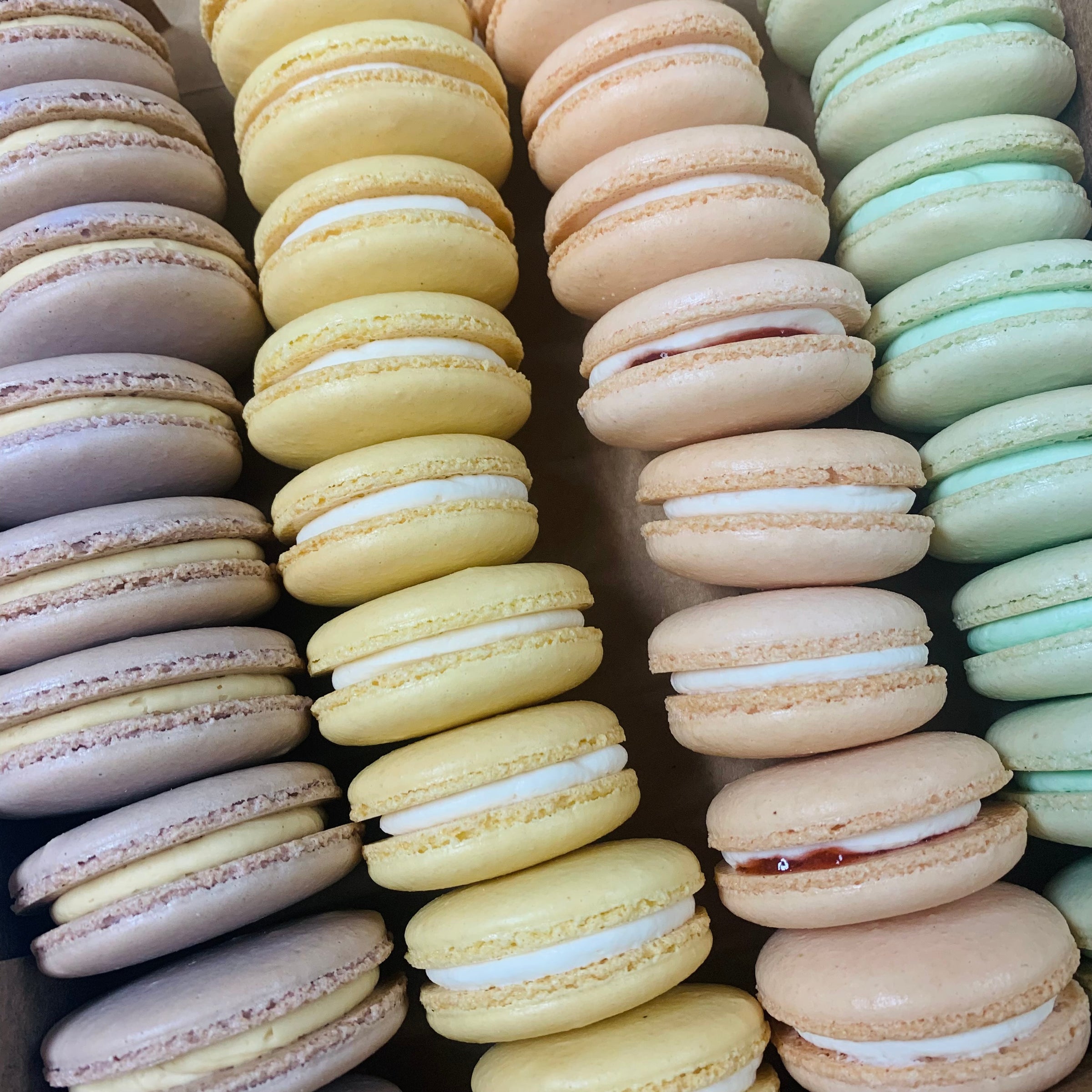 Decorated Cookies St Charles Mo | Shelly Lighting